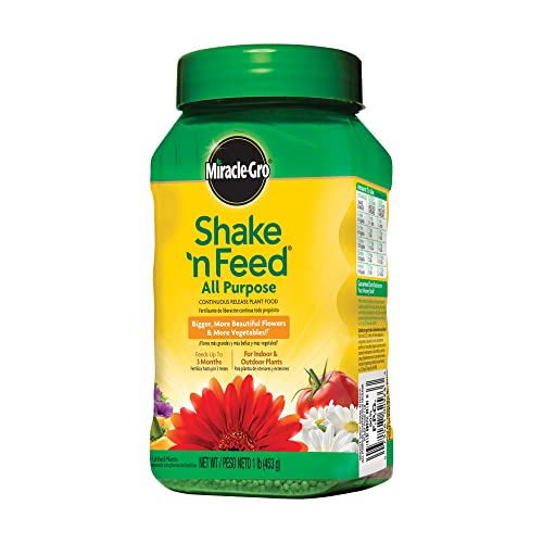 Miracle-Gro Shake 'n Feed All Purpose Continuous Release Plant Food, 1-Pound (Slow Release Plant Fertilizer)