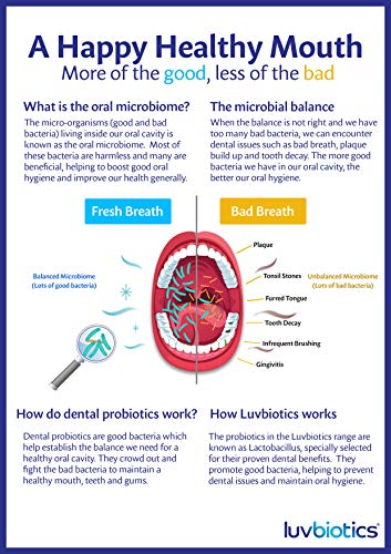 Luvbiotics Original Toothpaste with Probiotics & Xylitol Promotes Good Bacteria for Fresh Breath, Healthy Gums & Teeth. Free from SLS, Parabens, Artificial Colors, Flavors, and Sweeteners 75ml Tube