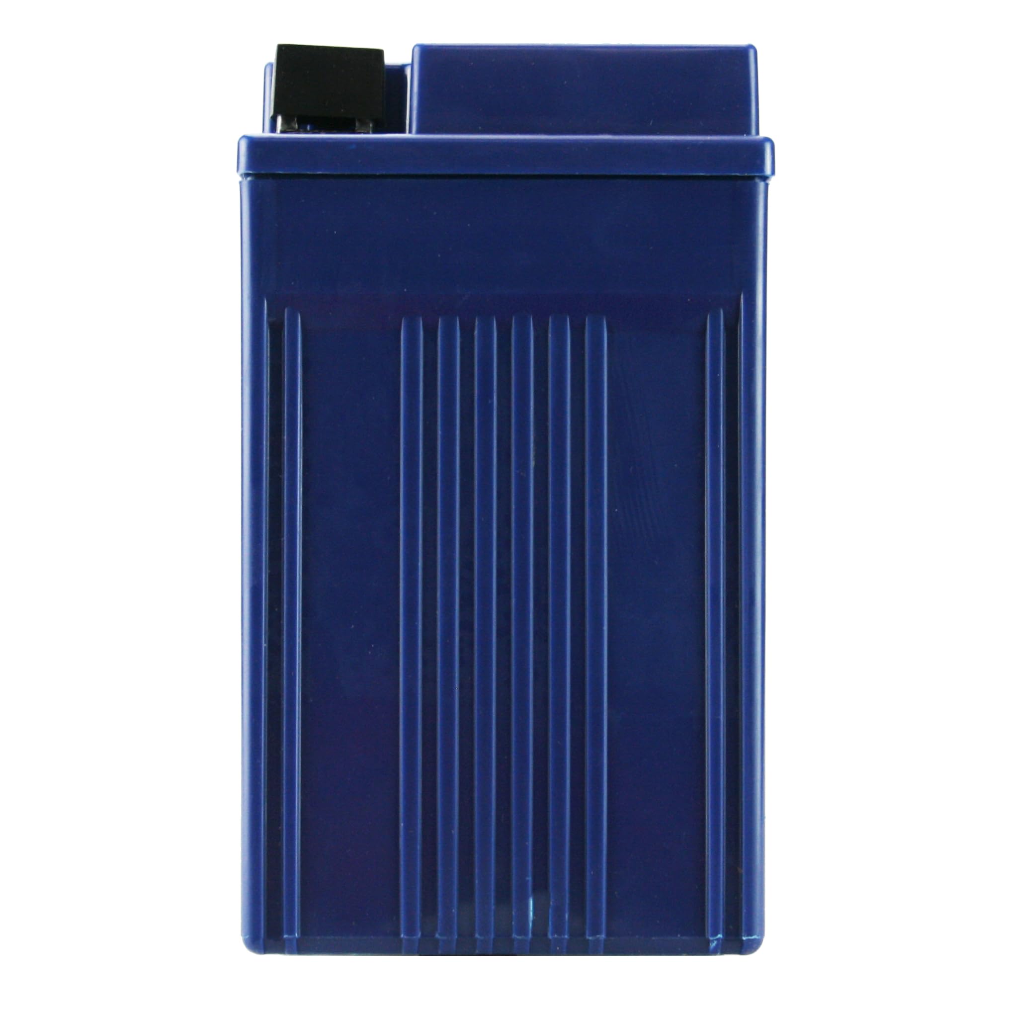 PowerStar FAYTX14 Battery Replaces YTX14-BS CYTX14-BS YTX14BS GTX14-BS, SEALED GEL AGM