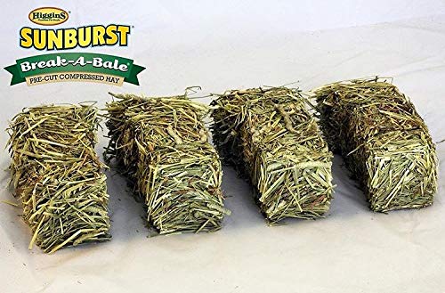 Higgins 2 Pack of Sunburst Break-a-Bale Compressed Timothy Hay, 35 Ounces Each, for Small Pets