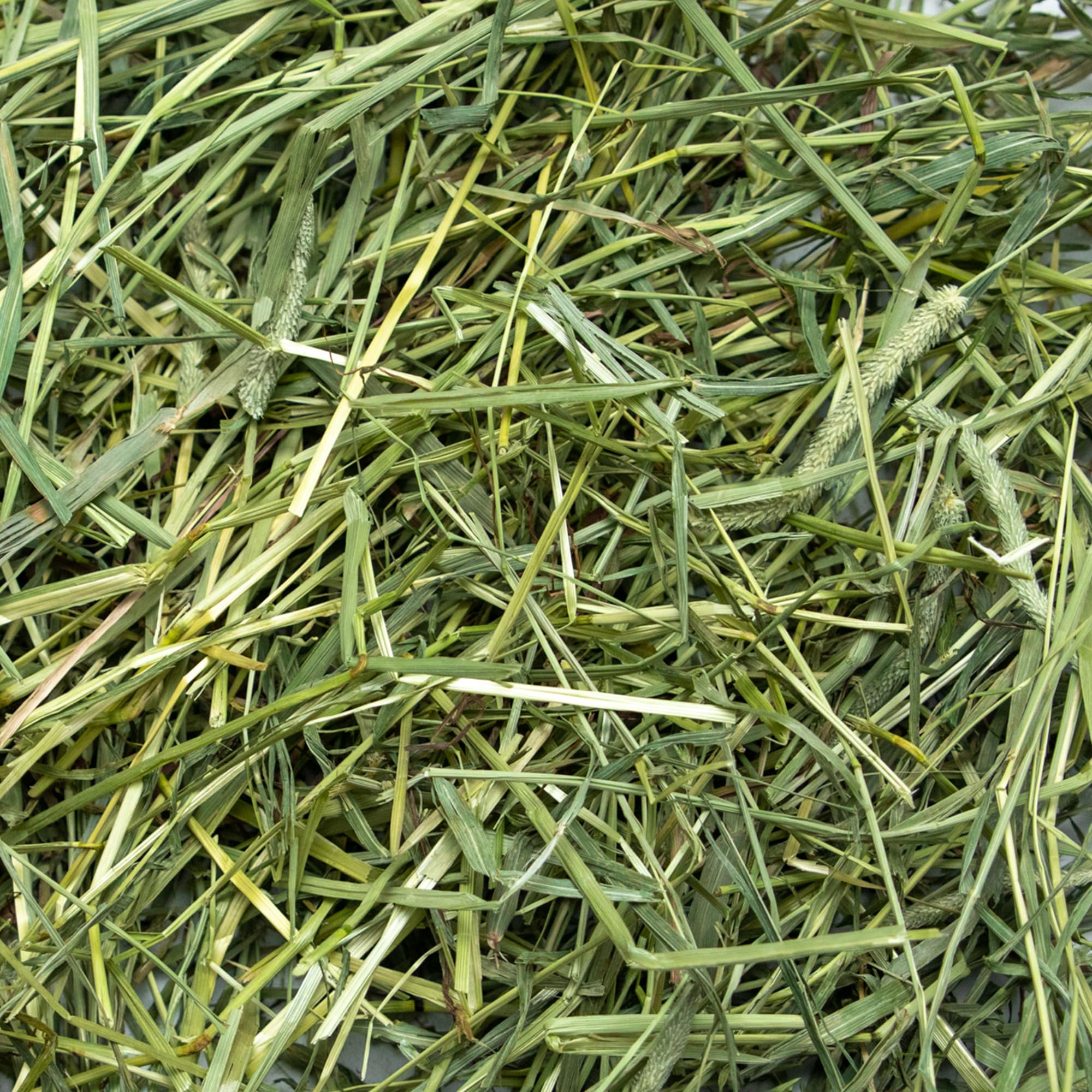 Rabbit Hole Hay - Ultra Premium Coarse Timothy Hay for Small Pets - 4 oz Pack