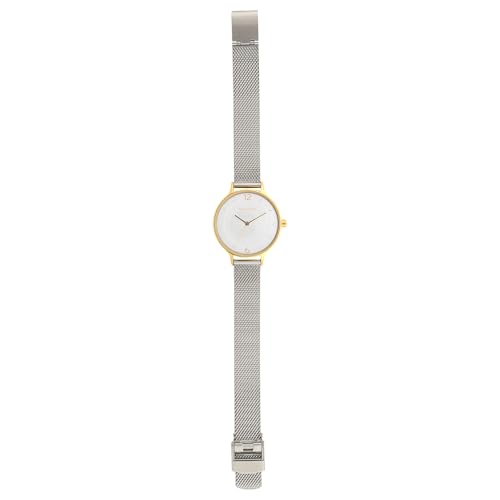 Skagen Women's Anita Lille Three-Hand Silver and Gold Two-Tone Stainless Steel Mesh Band Watch (Model: SKW2340)