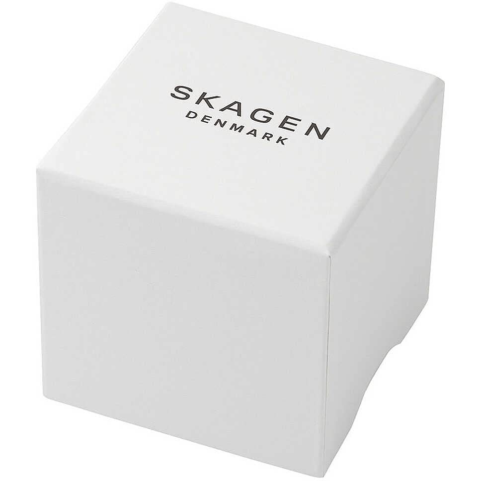 Skagen Women's Anita Lille Three-Hand Silver and Gold Two-Tone Stainless Steel Mesh Band Watch (Model: SKW2340)