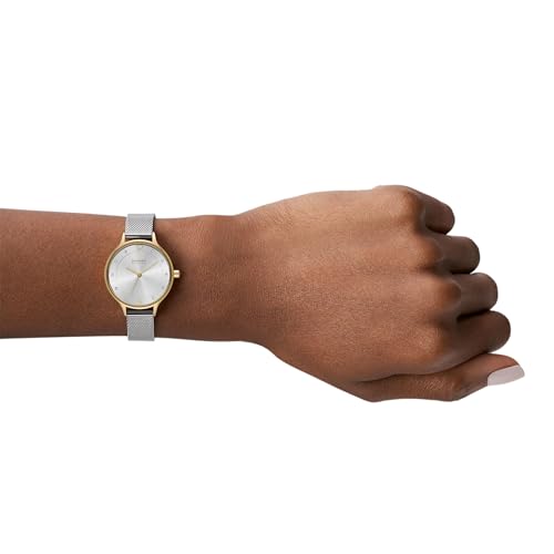 Skagen Women's Anita Lille Three-Hand Silver and Gold Two-Tone Stainless Steel Mesh Band Watch (Model: SKW2340)