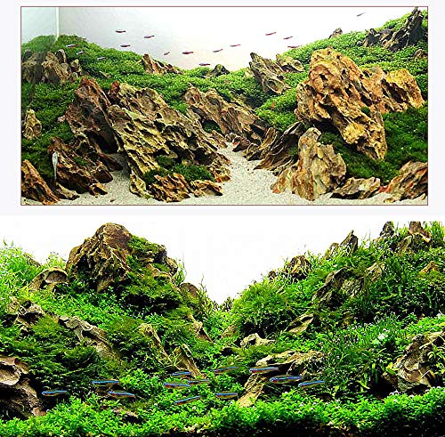 Voulosimi Dragon Stone Rock Aquariums Decoration Aquascaping Stone (Mixed Sizes) 7.2 lb