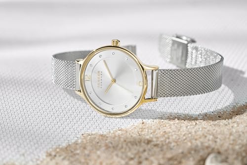Skagen Women's Anita Lille Three-Hand Silver and Gold Two-Tone Stainless Steel Mesh Band Watch (Model: SKW2340)