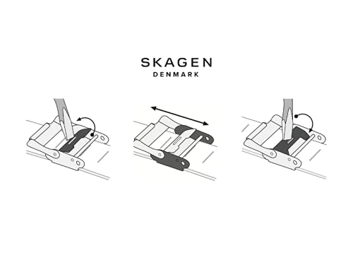 Skagen Women's Anita Lille Three-Hand Silver and Gold Two-Tone Stainless Steel Mesh Band Watch (Model: SKW2340)