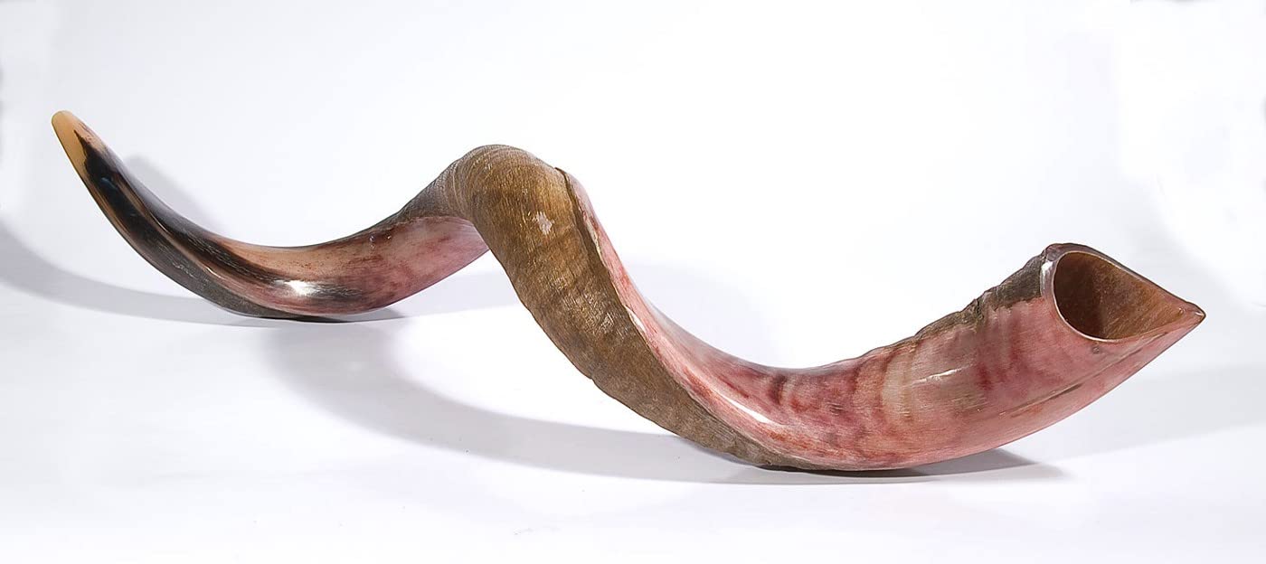 22"-24" Half Polished Half Natural Kudu Horn Shofar Kosher Israel Tradition