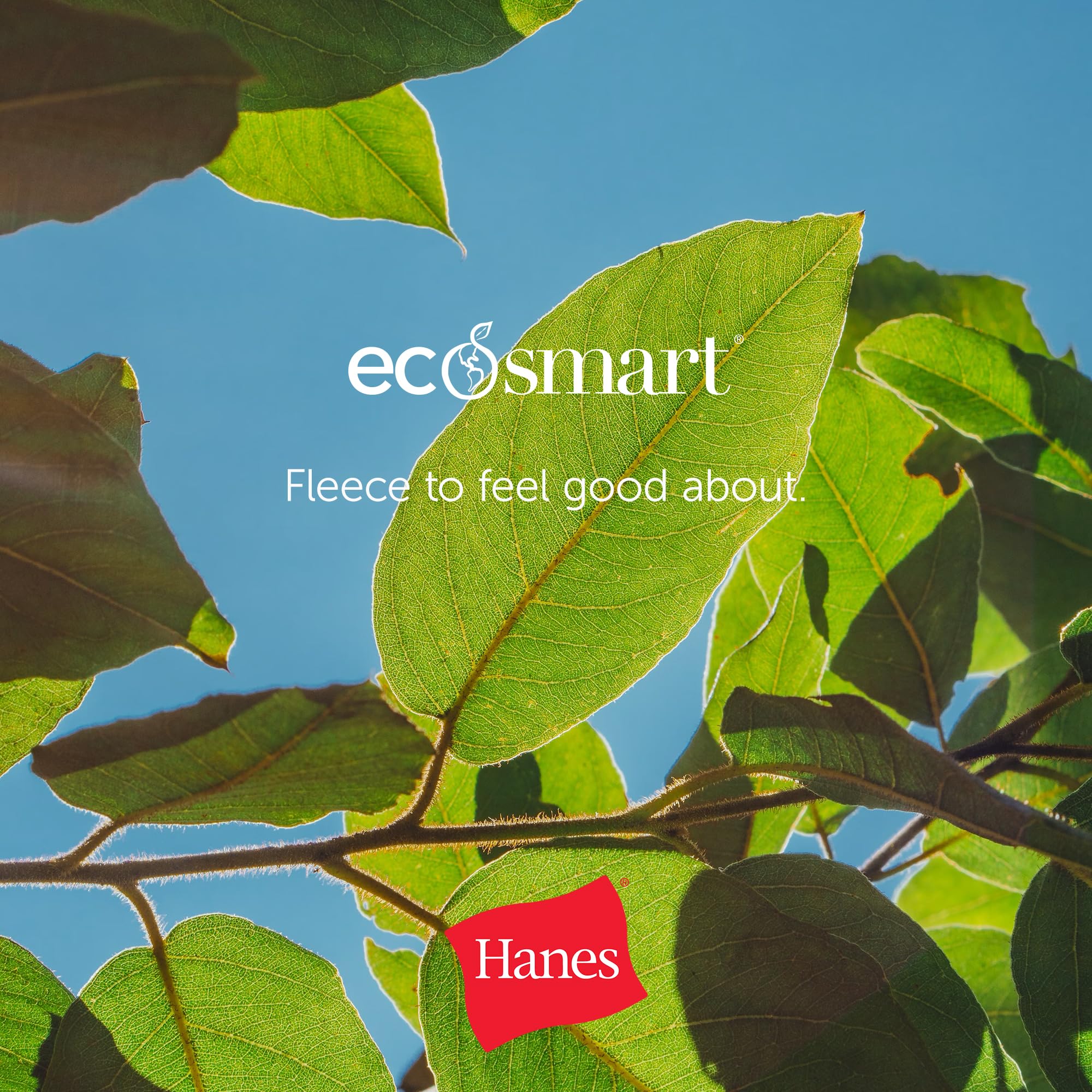 Hanes Women's EcoSmart Petite Open Bottom Leg Sweatpants, Navy Heather, Medium
