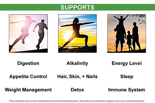 Daily Green Boost 8oz Organic Raw Vegan GF USA