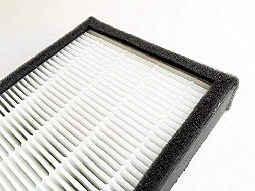 True HEPA Filter B Replacement Compatible with GermGuardian Air Purifier FLT4825 AC4825 AC4300 AC4800 AC4900 AC4850 Pure Guardian AP2200CA, Black Decker BXAP148, 2 Packs