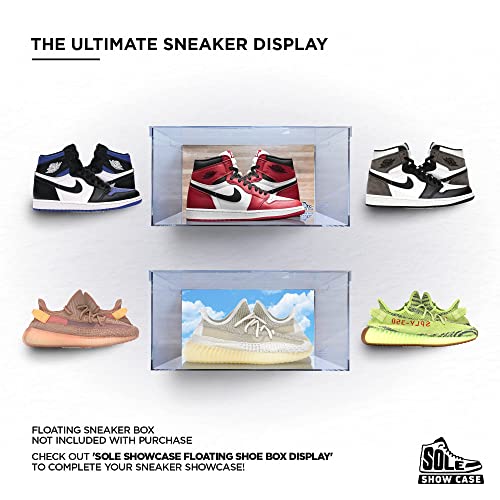 Engineered Edge Sole Showcase - 6 Clear Floating Shoe Shelves to Display and Showcase Your Sneaker Collection - Hardware Included | Shoe Display Shelf, Wall Shelf