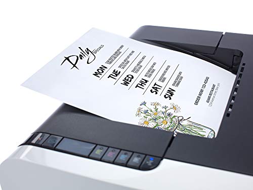 SamuelIStamper Great Papers! Mason Daisies Letterhead Stationery, 8.5" x 11", 80 count, Inkjet and Laser Printer Compatible (2020147)"