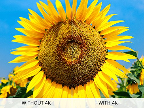 Sony XBR-65X750D 65" 4K UHD Smart TV w/Wi-Fi Android TV