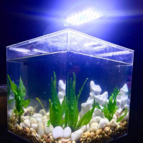 Seven Master Aquarium Clip-On LED Light Clamp Fish Tank Light (Black)
