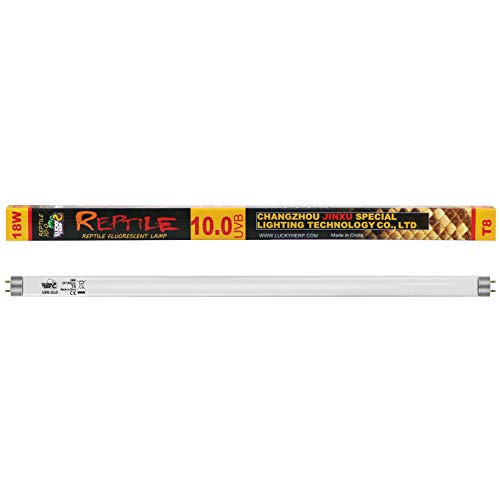 LUCKY HERP 24inch 18W T8 UVB 10.0 Reptile Light, UVA UVB Bulb, Fluorescent Lamp for Reptiles Amphibian