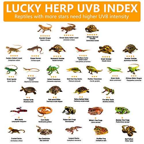 LUCKY HERP 24inch 18W T8 UVB 10.0 Reptile Light, UVA UVB Bulb, Fluorescent Lamp for Reptiles Amphibian