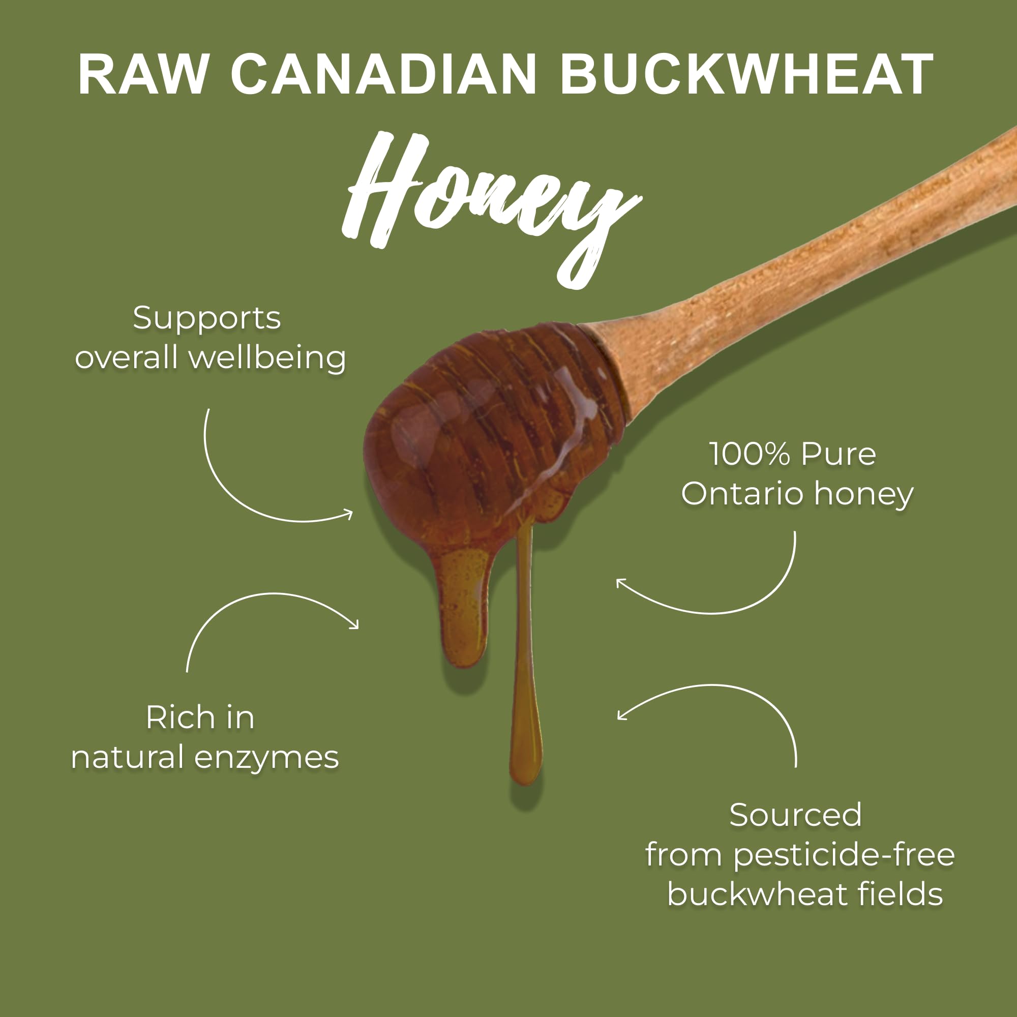 OneRoot Raw Buckwheat Honey - 500g/17.6oz, Unheated, Unfiltered and Unprocessed Natural Dark Honey, Rich in Antioxidants Pure Buckwheat Honey