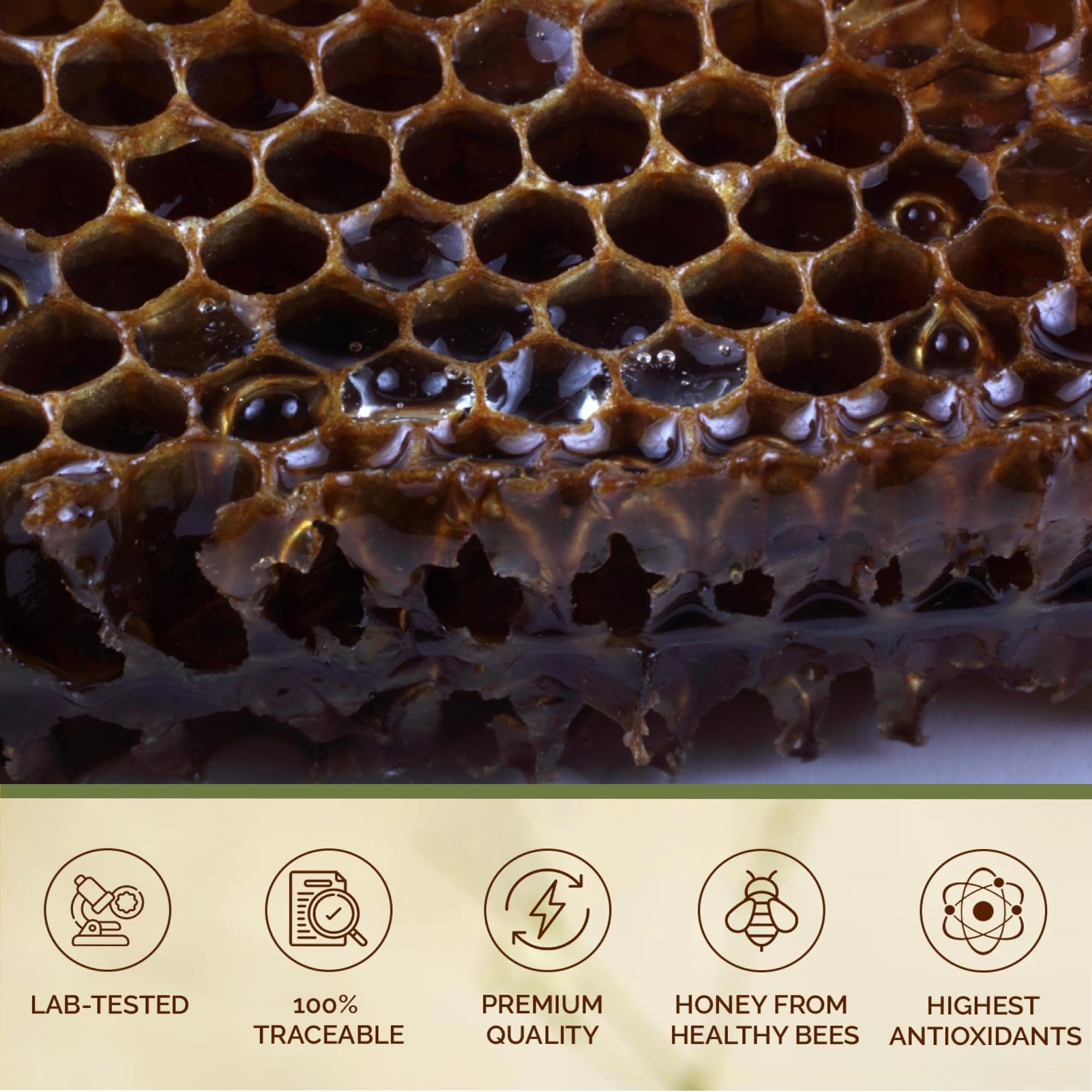 OneRoot Raw Buckwheat Honey - 500g/17.6oz, Unheated, Unfiltered and Unprocessed Natural Dark Honey, Rich in Antioxidants Pure Buckwheat Honey