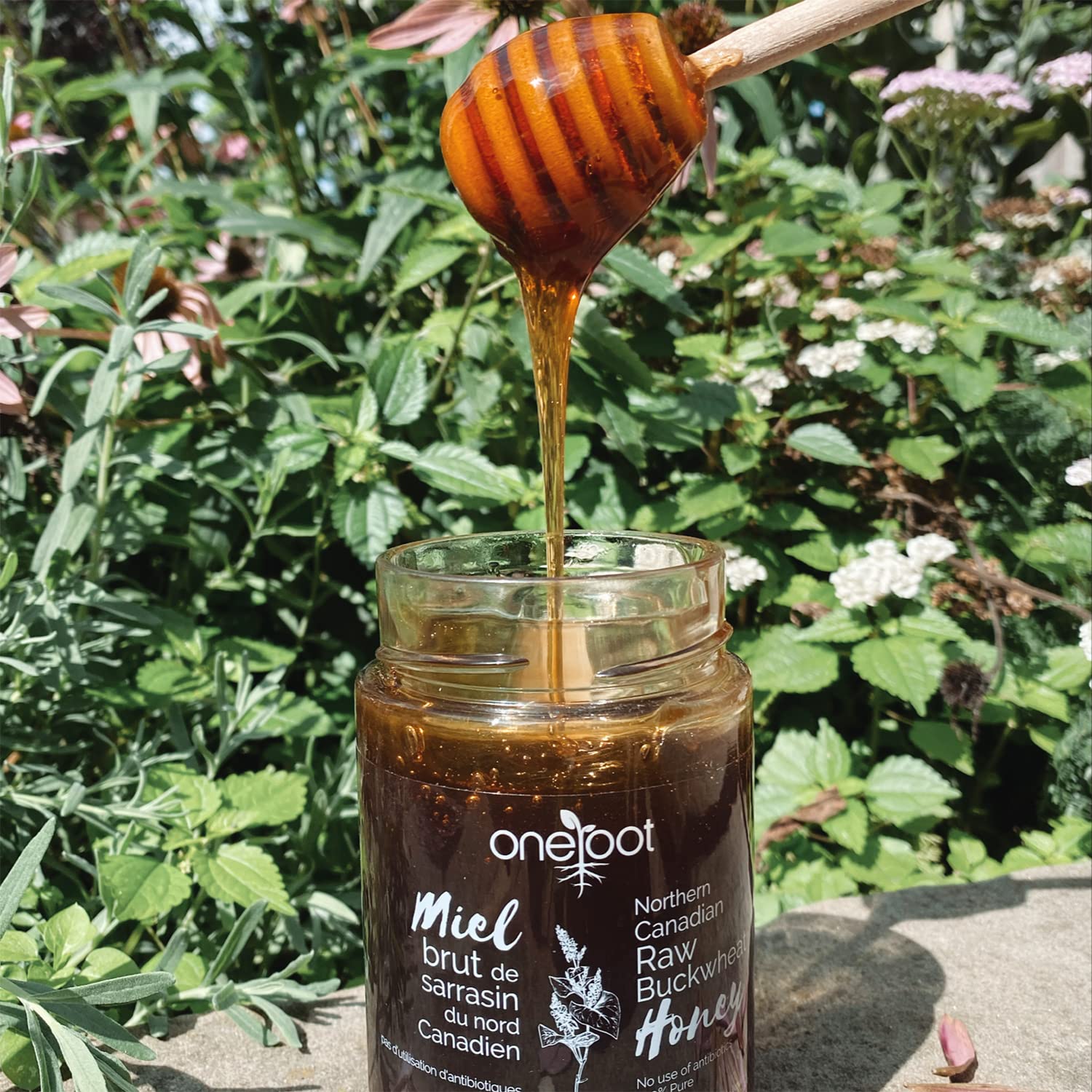 OneRoot Raw Buckwheat Honey - 500g/17.6oz, Unheated, Unfiltered and Unprocessed Natural Dark Honey, Rich in Antioxidants Pure Buckwheat Honey