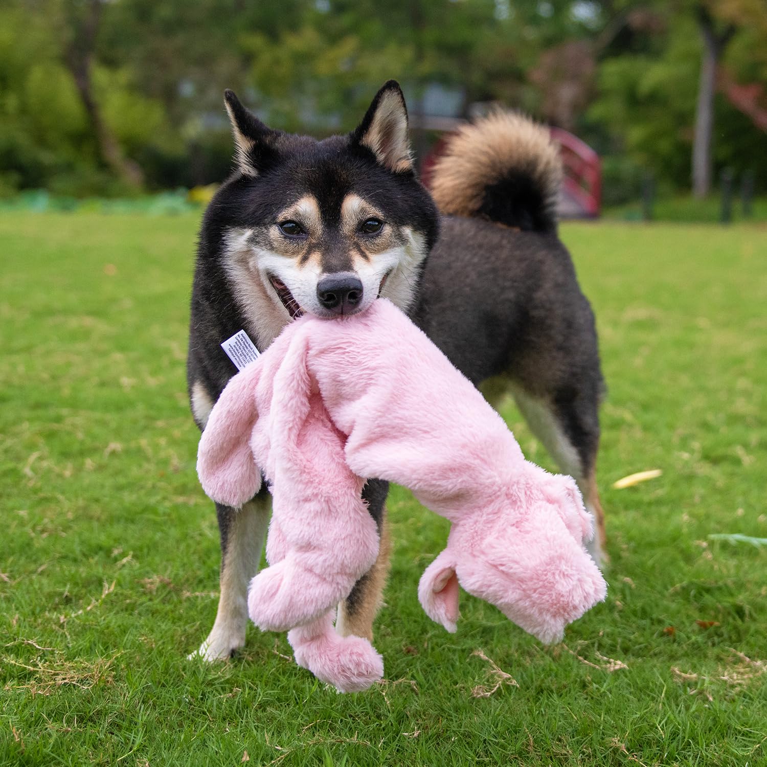 Best Pet Supplies 2-in-1 Stuffless Squeaky Dog Toys with Soft, Durable Fabric for Small, Medium, and Large Pets, No Stuffing for Indoor Play, Holds a Plastic Bottle - Pig, Medium