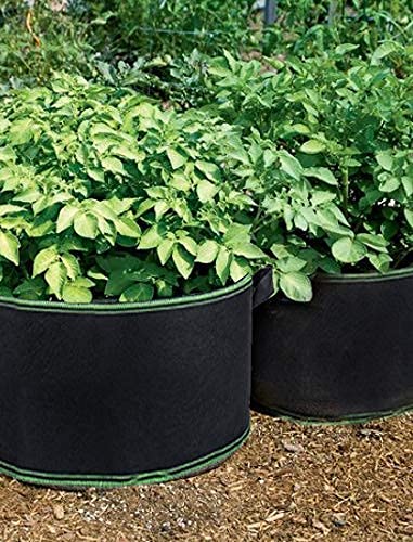 LINERY 1-Pack 50 Gallon Planting Bag Black Heavy Duty Thickened Large Capacity Upgrade Hemming Process Grow Bag with Handles Non-Woven Fabric Plant Pots (【1-50 G】)