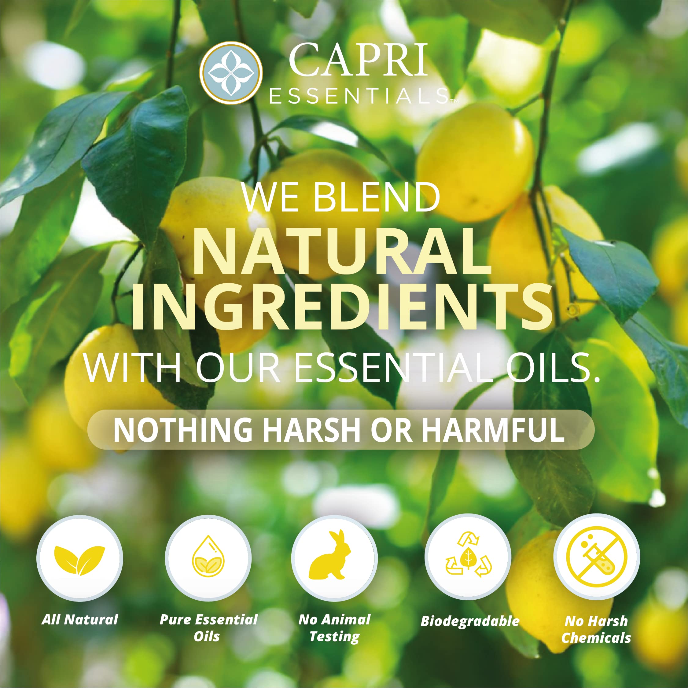 CAPRI ESSENTIALS Lemon Verbena Natural Dish Soap Liquid w/Essential Oils – Plant-Based Dish Cleaning Supplies – Chemical-Free Dish Liquid Soap – Natural Cleaning Products (16 oz)