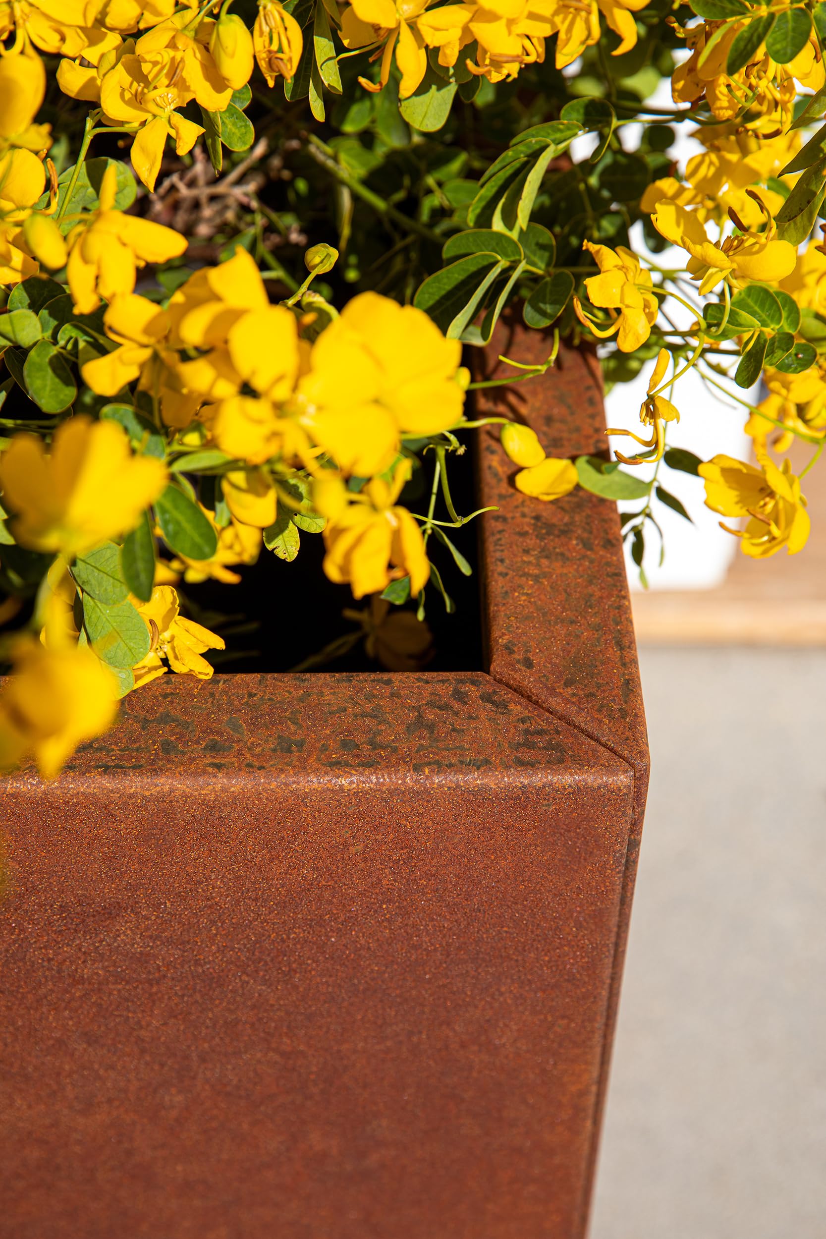 Veradek Corten Steel Series Cube Planter - Square Metal Planter for Outdoor Patio/Garden | Naturally Rusting Steel for All-Weather Use | Modern Rustic Décor for Trees, Flowers, Tall Trees