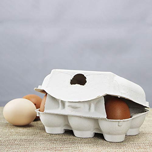 Cabilock 20pcs Egg Cartons Paper Trays Printed Natural Pulp Egg Cartons Holds Up to 6 Eggs Biodegradable Pulp Fiber Egg Flats Egg Organizing Cases
