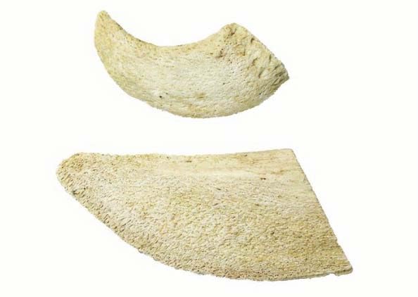 Qt Dog Buffalo Horn Core Chew , Large