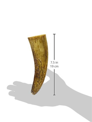 Qt Dog Buffalo Horn Core Chew , Large