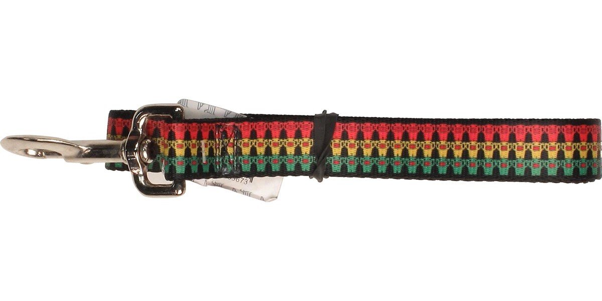 Buckle-Down Domo Kun Red Yellow Green Stripes Pet Leash