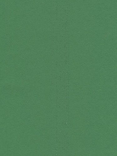 Pacon Sunworks Construction Paper (Green) - 12 In. x 18 In.