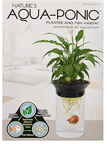 Penn-Plax (APON1) Aquaponic Planter and Aquarium for Betta Fish Tank Promotes Healthy Hydroponic Environment for Plants and Fish