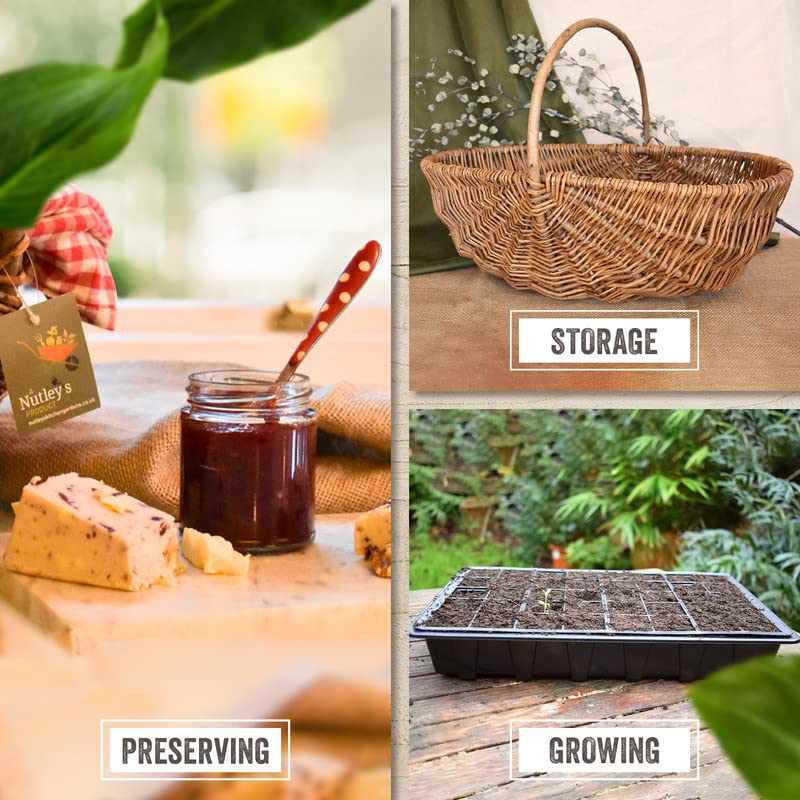 X1246