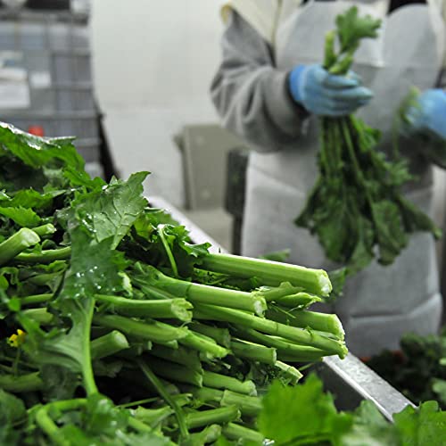 Broccoli Rabe Friarielli Preserved in EVOO - Maida Farm, Campania, Italy