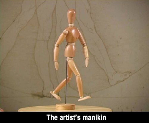 Drawing From The Manikin