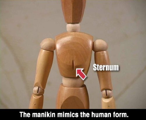 Drawing From The Manikin