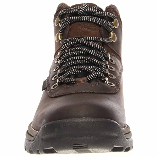 Timberland womens White Ledge Mid Hiking Boot, Dark Brown, 8.5 US