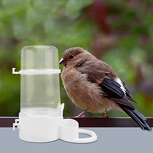 balacoo 2Pcs Automatic Bird Feeder Bird Water Bottle Poultry Drinker Water Jug Container Food Dispenser for Chickens Birds Pigeon Quail White