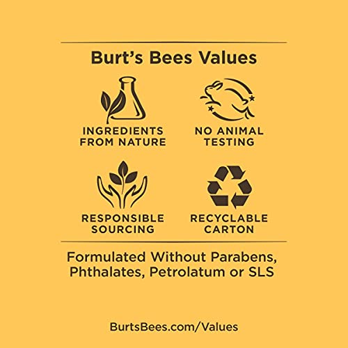 Burt's Bees Lip Balm - Mango, Lip Moisturizer With Responsibly Sourced Beeswax, Tint-Free, Natural Origin Conditioning Treatment, 2 Tubes, 0.15 oz.