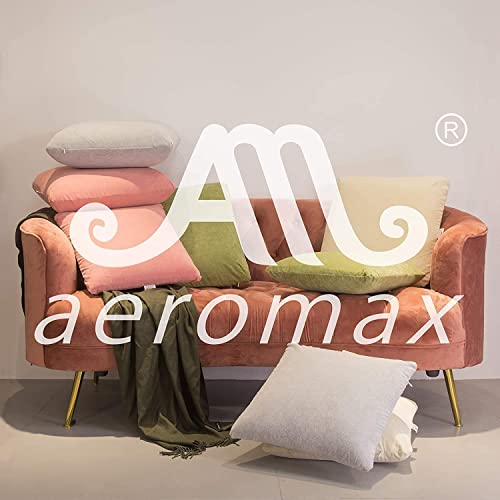 AM AEROMAX 12 × 20 Pillow Insert Memory Foam Lumbar Support Throw Pillow Sham Rectangular for Decorative Cushion Bed Couch Sofa Without Deform After Longtime Use