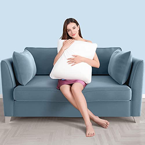 AM AEROMAX 12 × 20 Pillow Insert Memory Foam Lumbar Support Throw Pillow Sham Rectangular for Decorative Cushion Bed Couch Sofa Without Deform After Longtime Use