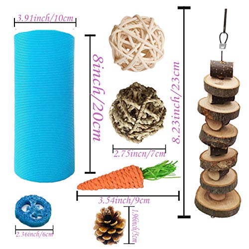 Hamster Fun Tunnel Pet Mouse Plastic Tube Toys Small Animal Foldable Exercising Training Hideout Tunnels with Cute pet Toys for Guinea Pigs,Gerbils,Rats,Mice,Ferrets and Other Small Animals (Blue)