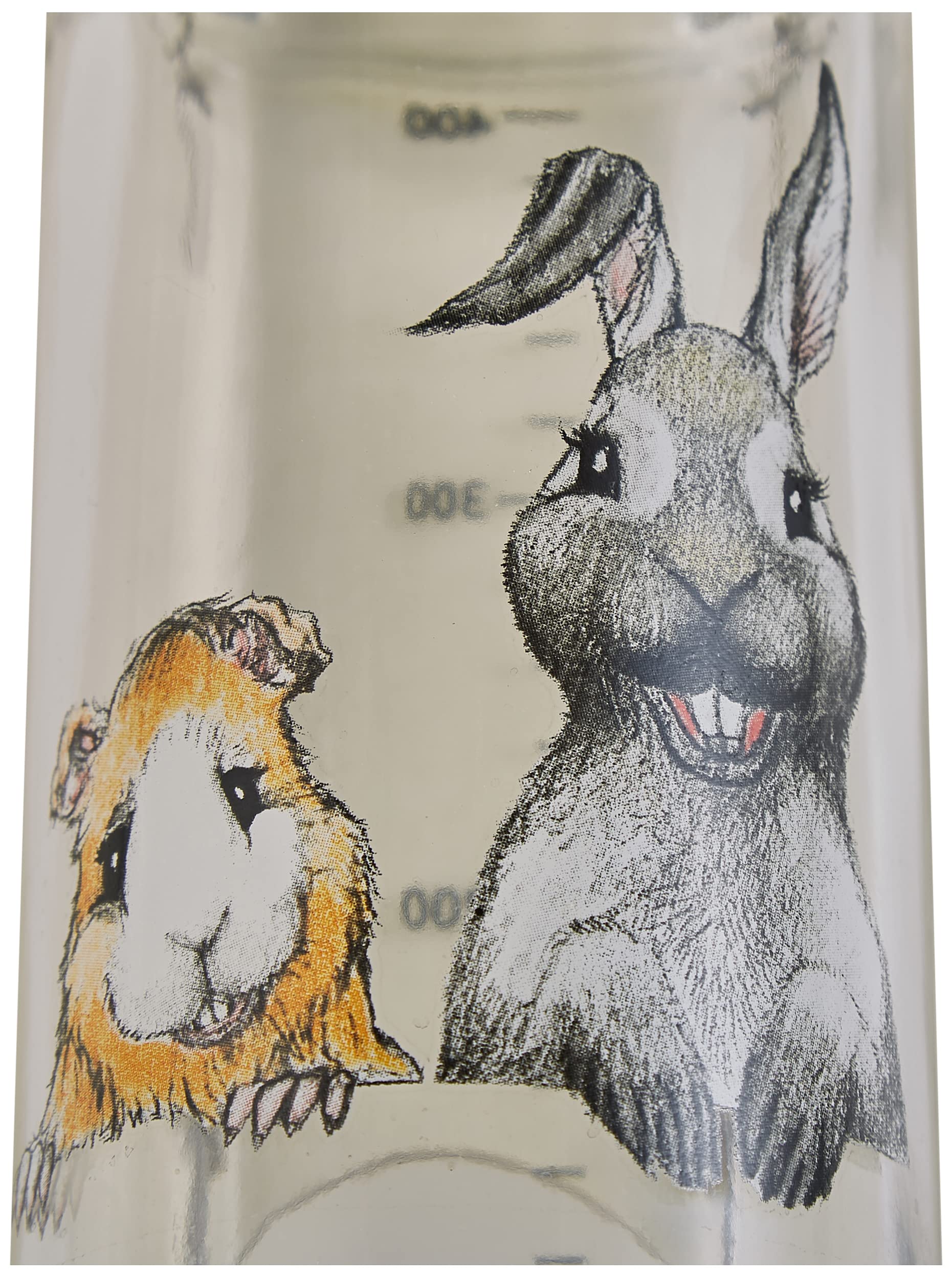 Trixie Honey and Hopper Glass Water Bottle, 500 ml