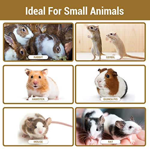 Wood Smith USA Premium Pine Bedding | Dust Free, Soft Shavings | All Natural | Chicken Coops | Animal Bedding | Small Animals | Odor Control (4 Quart)