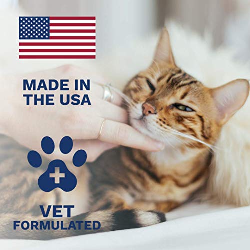 Under the Weather Anti-Diarrhea Liquid for Dogs and Cats - Soothe Your Pet's Upset Stomach andĀ Provide Relief from Diarrhea - (4 oz Bottle) (for Cats (4Oz))