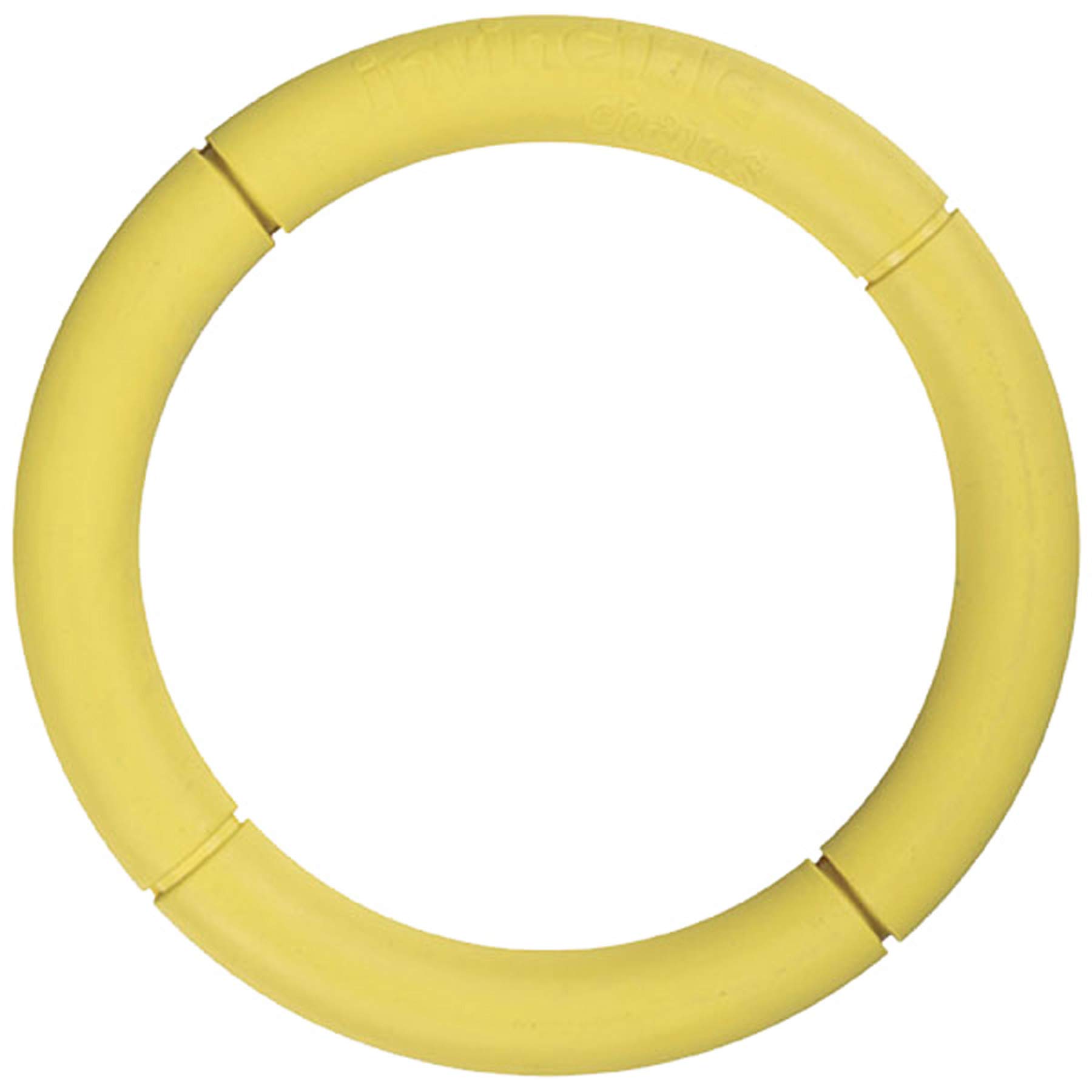 JW Pet Company Invincible Chains LS Single Dog Toy, Large (Colors Vary)