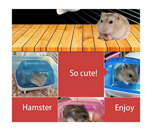 JSM 2 PCS Small Animals Bathroom, Sand Bath Container, Pet Bathroom for Dwarf Hamster/Mouse/Chinchilla/Rat/Gerbil