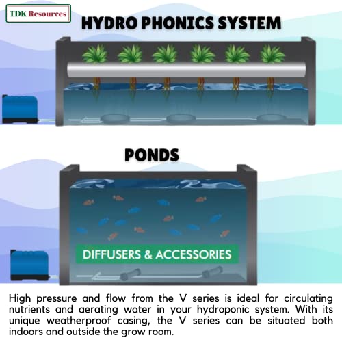 Blue Diamond Pumps V30 Aquarium Air Pump with 6 Outlet Manifold, Hydroponic Air Pump Aerator Will Oxygenate Your Fish Tank or Plant Life System, Designed to Run Several Air Stones from a Single Pump